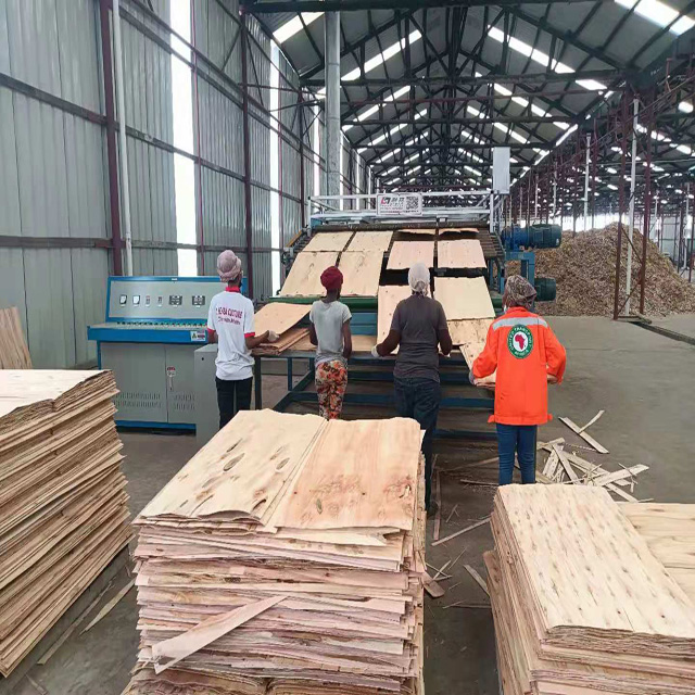 Plywood veneer dryer,Veneer drying line,Veneer drying machine-Shine ...